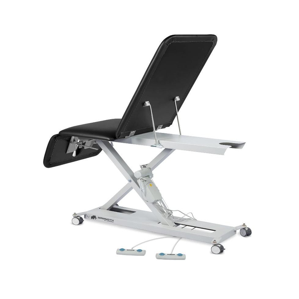 Mammoth 3 Section Table – Harlan Health Products